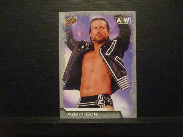 Adam Cole - All Elite AEW Original Upper Deck Trading Card #27