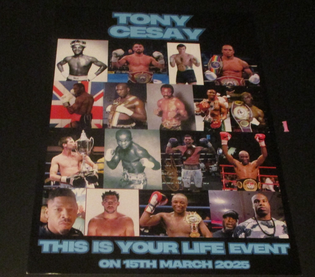 Sam Gilley Limited Edition Signed A3 Tony Cesay This Is Your Life Event ...