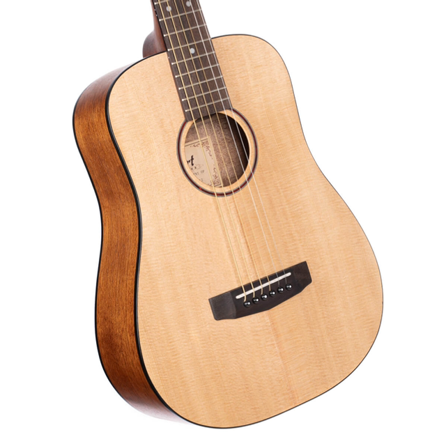 Cort Earth Mini | Music & Bean Co