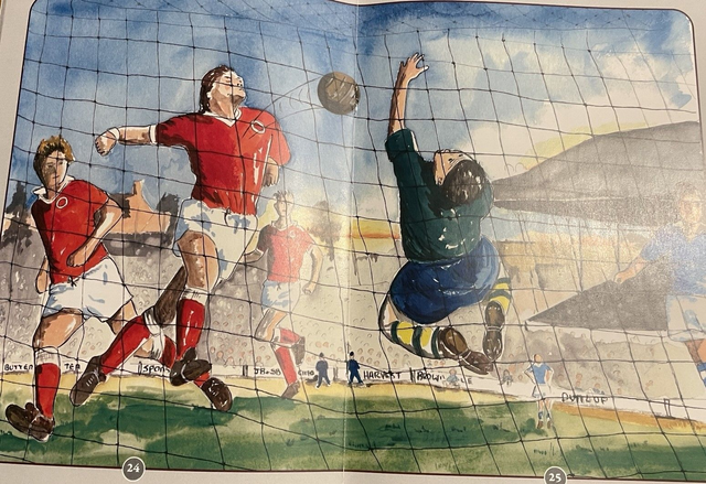 Up for the cup - Butterworth books