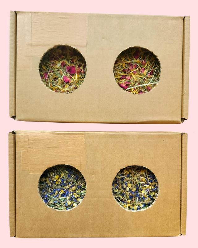 Frendly Hay & Flower Forage Boxes
