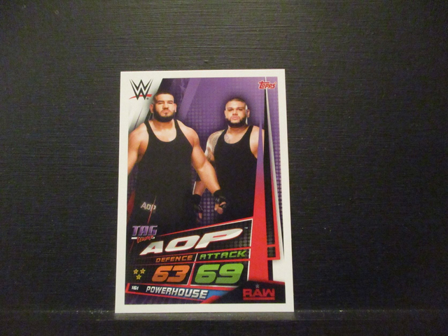 AOP - Tag Team Slam Attax Universe Original Trading Card #161