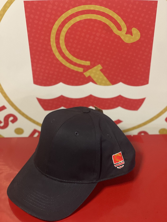 Emblem Navy Cap