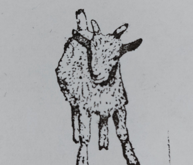 Goat | Printing Stamps London