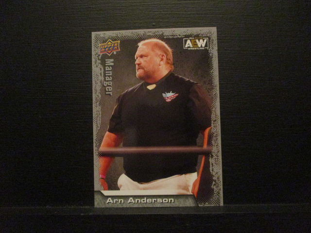 Arn Anderson - All Elite AEW Original Upper Deck Trading Card #95