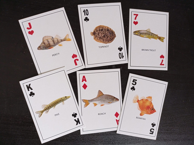 UK Fish Playing Cards