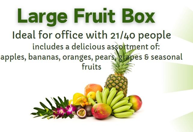 Fruit Box - Large